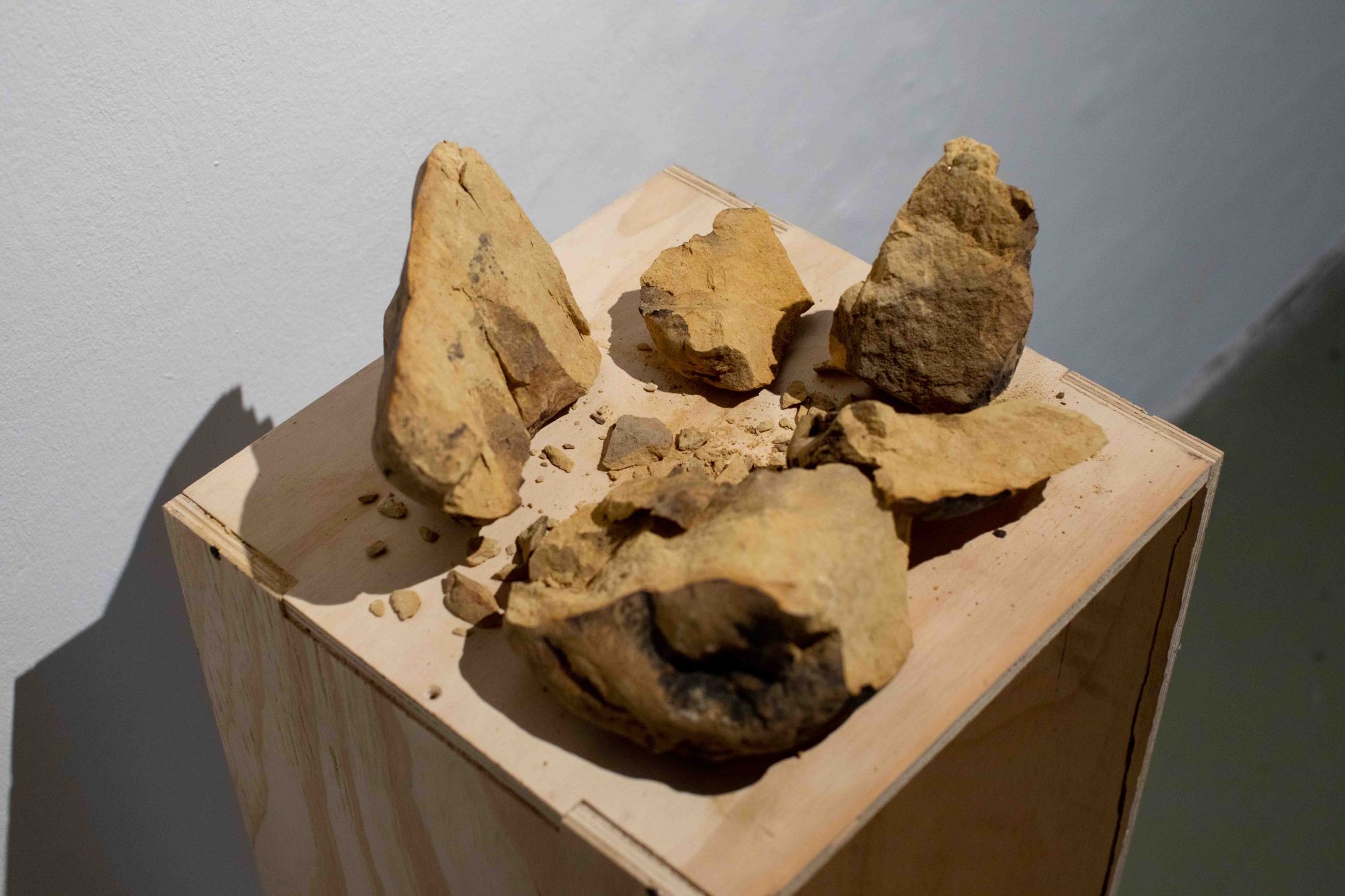 ATLAS aproximaciones entre cielo y tierra / María Paula Quintero – Sala ...